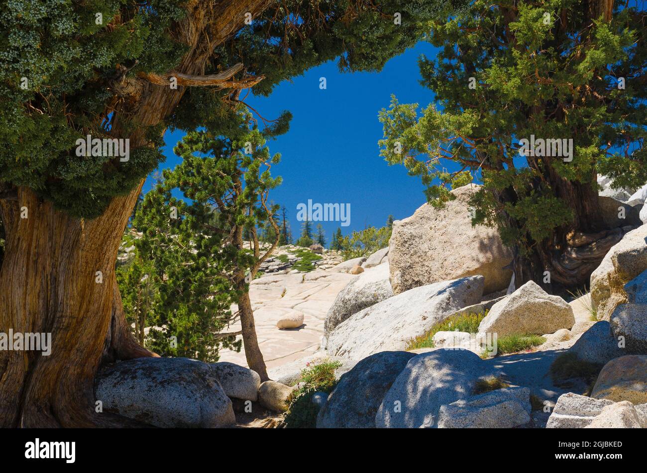 Olmstead Point, High Sierras, Yosemite National Park, California, USA ...