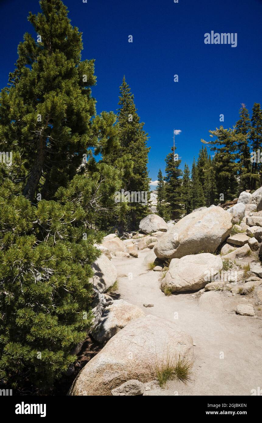 Olmstead Point, High Sierras, Yosemite National Park, California, USA ...