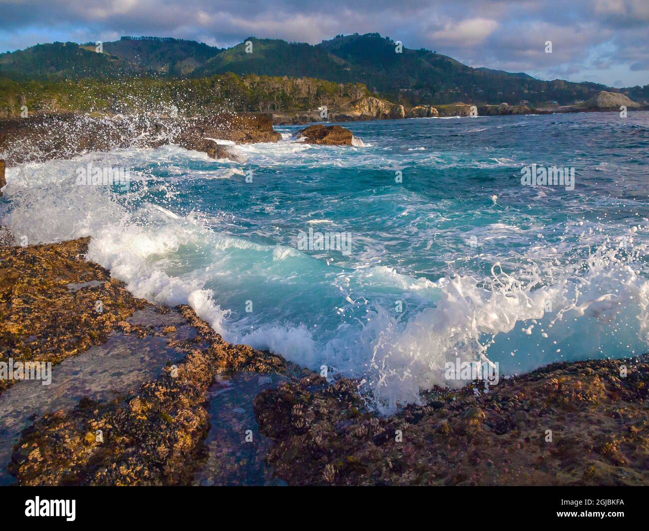 Point Lobos State Natural Reserve, California, USA Stock Photo - Alamy