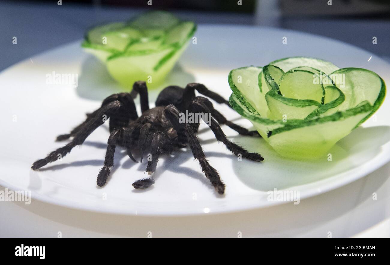 Fried Tarantula On A Stick