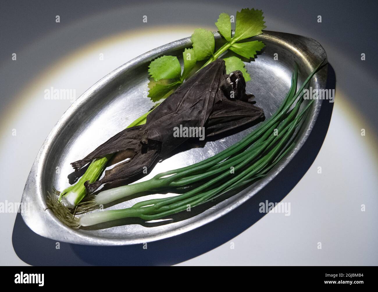 Most Disgusting Diseases