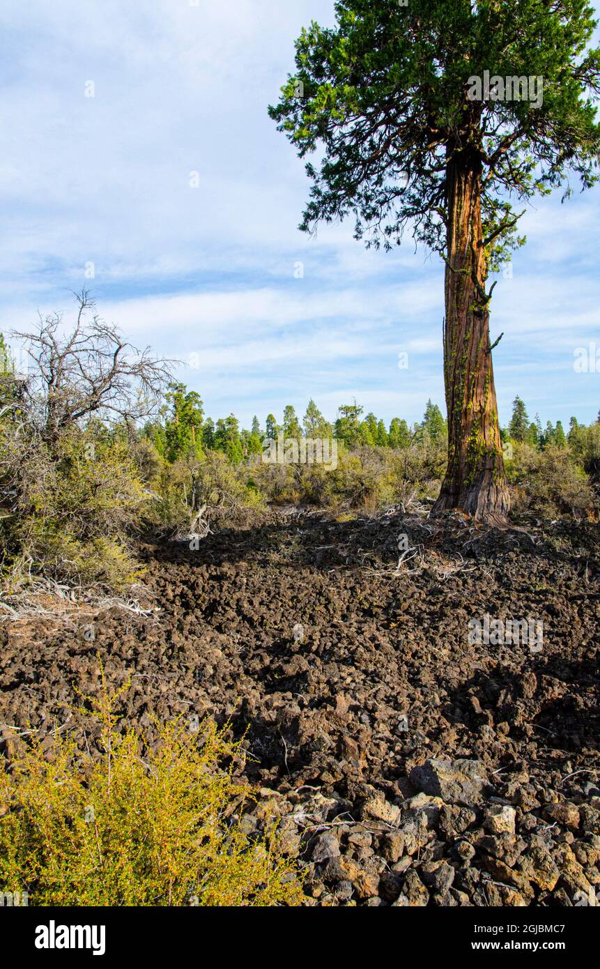 USA, California. Lava Beds National Monument, Volcanic Legacy Scenic ...