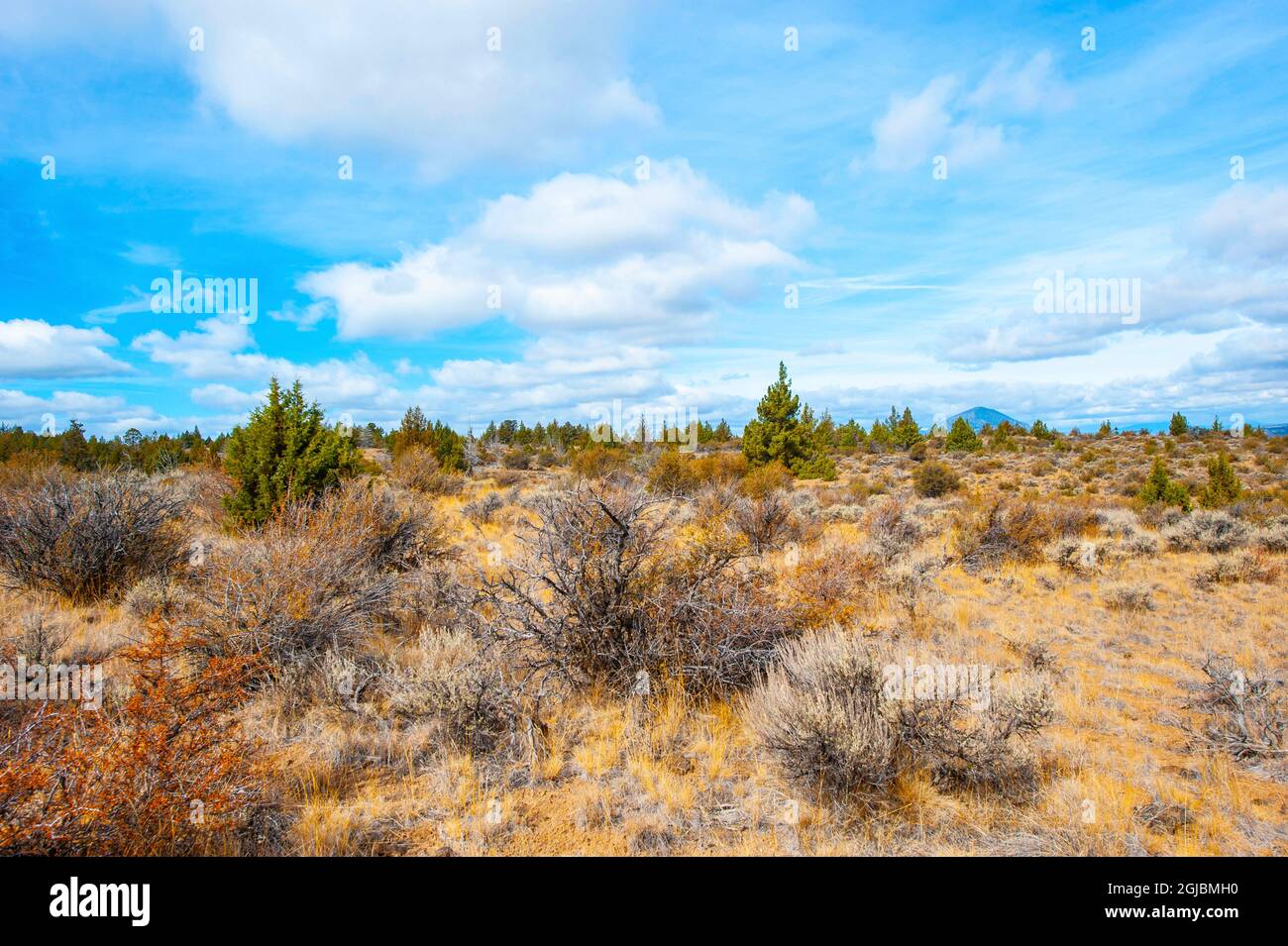 USA, California. Lava Beds National Monument landscape Stock Photo - Alamy