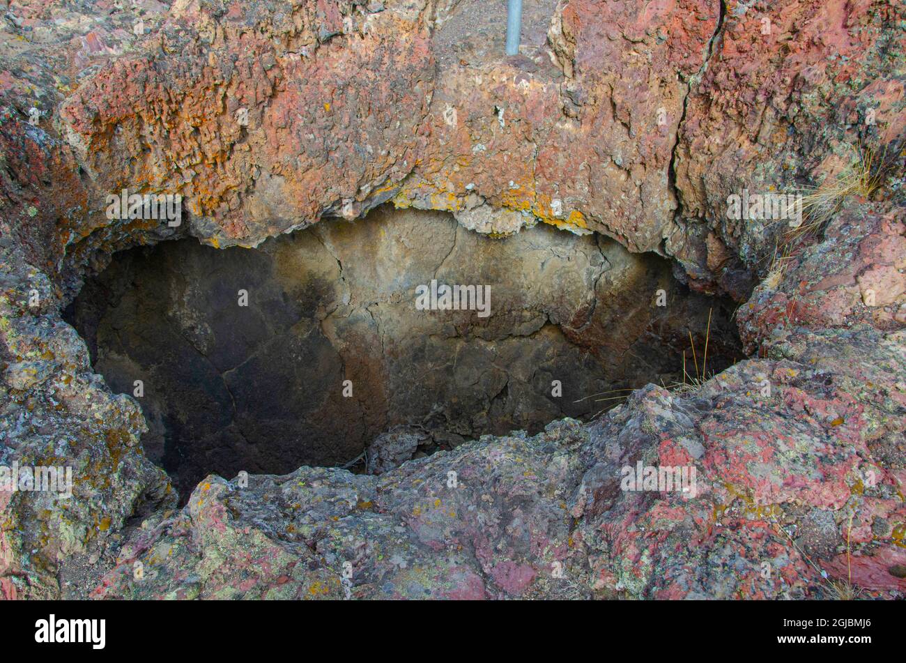 Bernard cone hi-res stock photography and images - Alamy