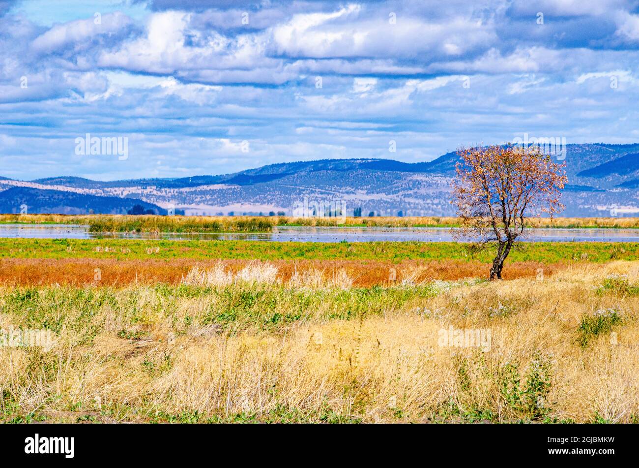 Tule lake national wildlife ref hi-res stock photography and images - Alamy