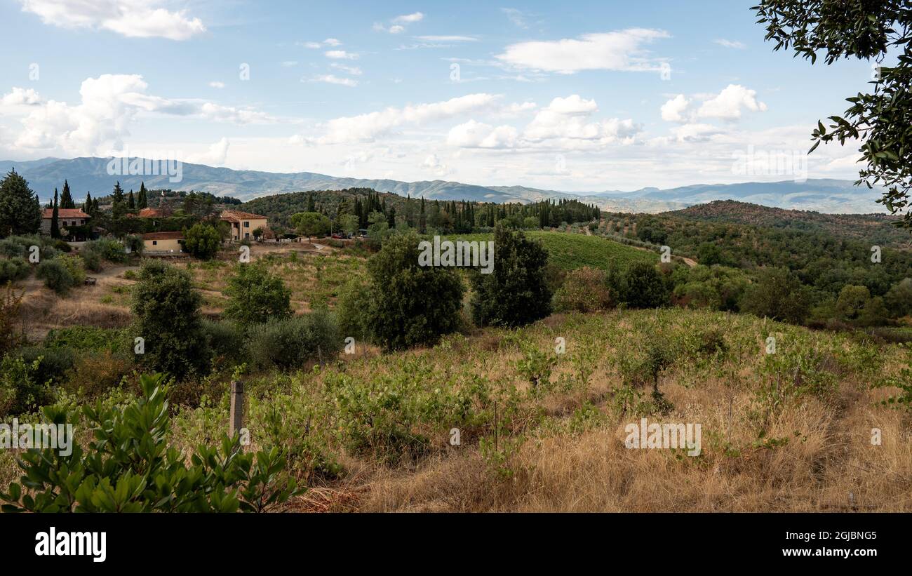 Vineyard in wild mountains hi-res stock photography and images - Alamy