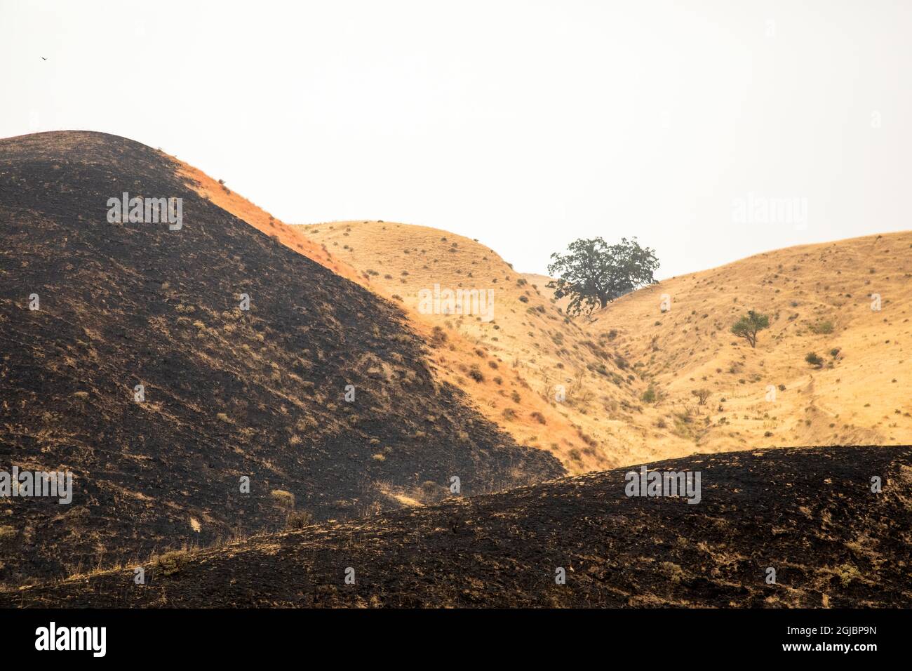Fire scorched hi-res stock photography and images - Alamy