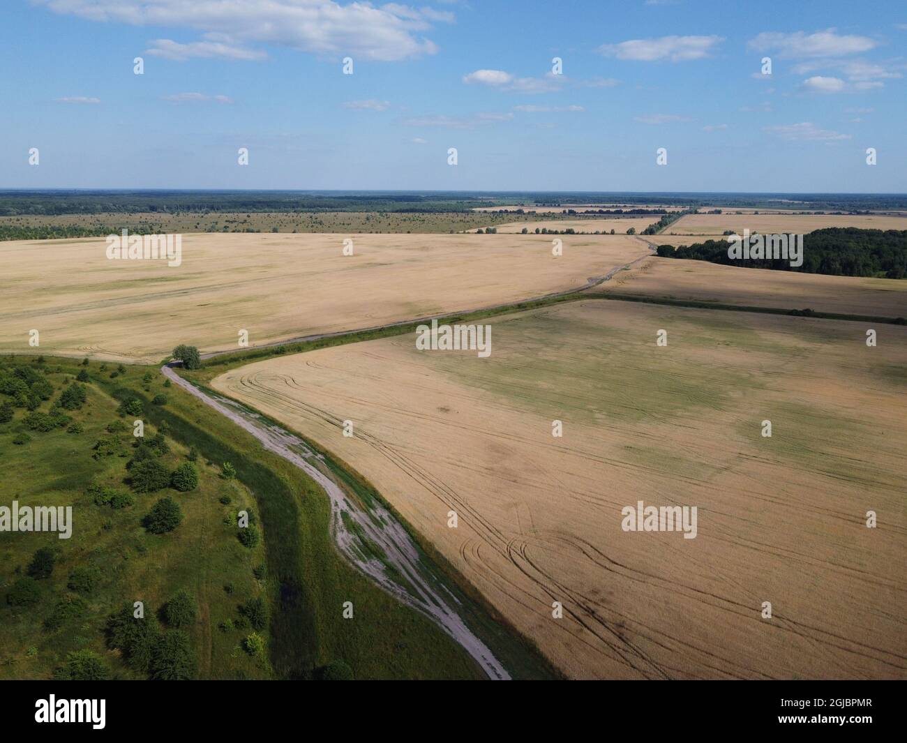 Green deciduous forest next to a farm field. Landscape from a bird's ...