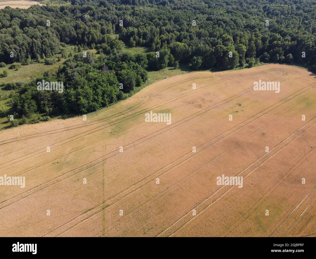 Aerial photography large wheat field hi-res stock photography and ...
