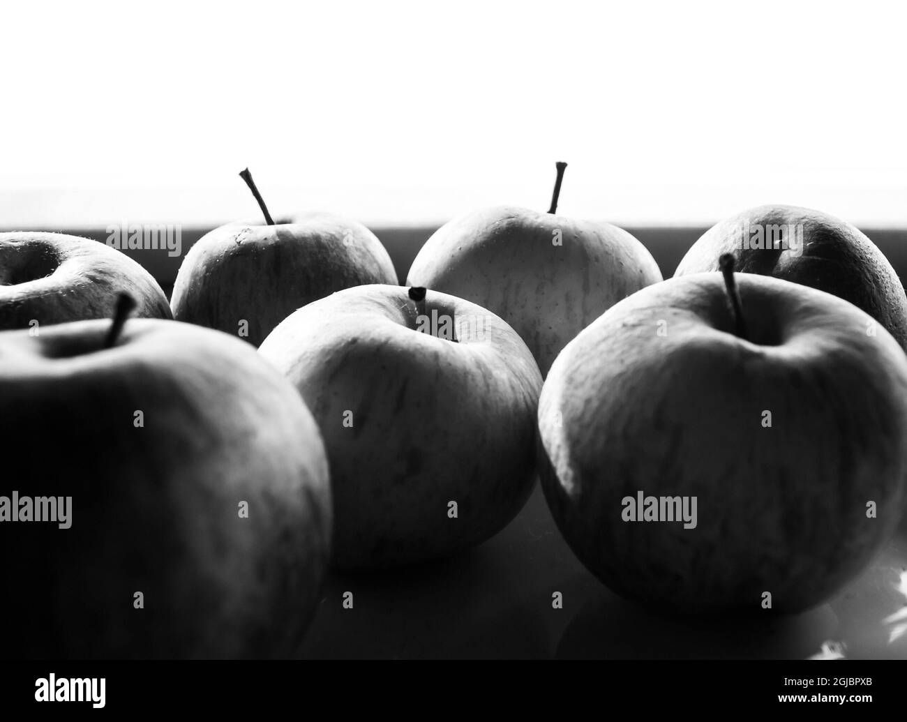 Closeup shot of apples isolated on a white background in grayscale ...