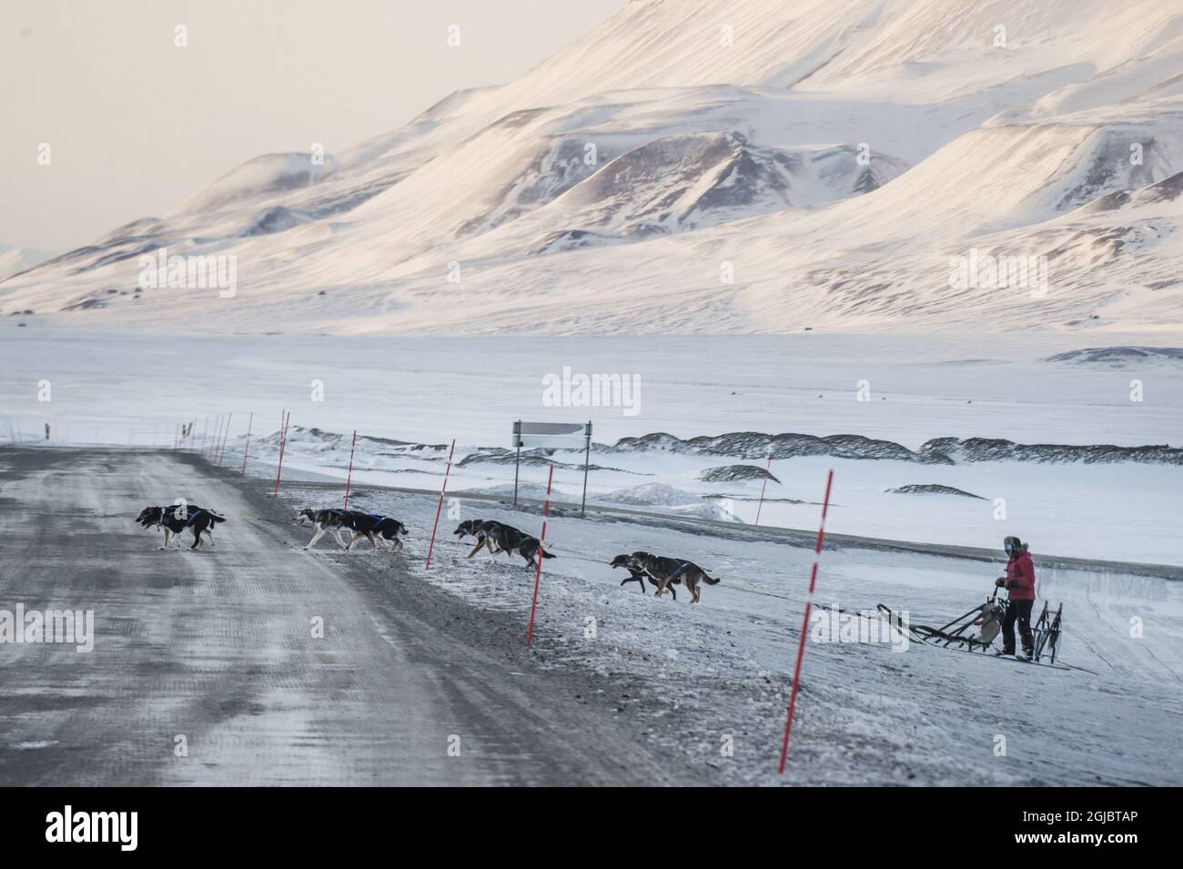 Langyearby, Longyear town, Svalbard, dog sledge, sledge dogs Foto: Anna ...