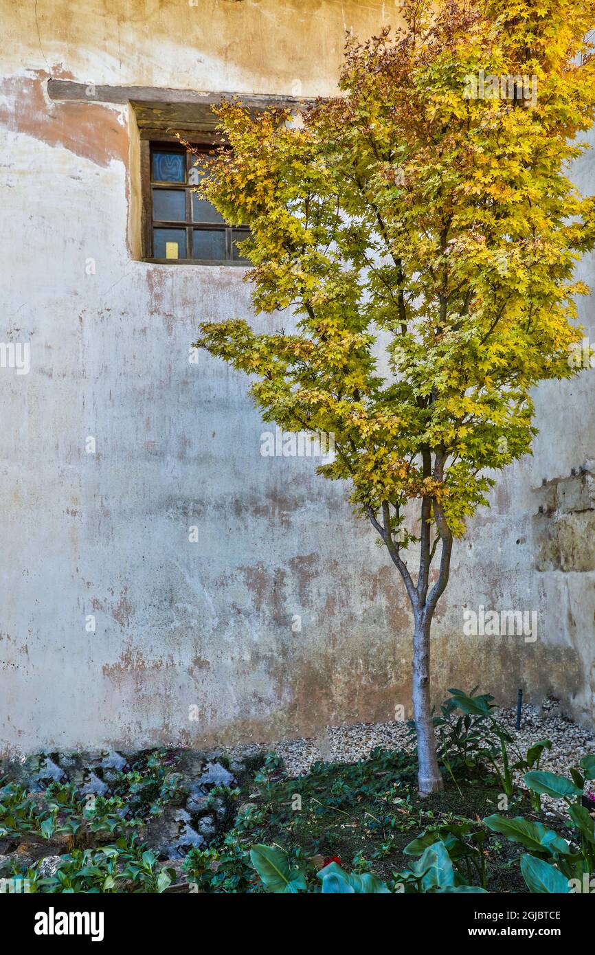 United States, California, Carmel, Basilica of San Carlos Borromeo del ...