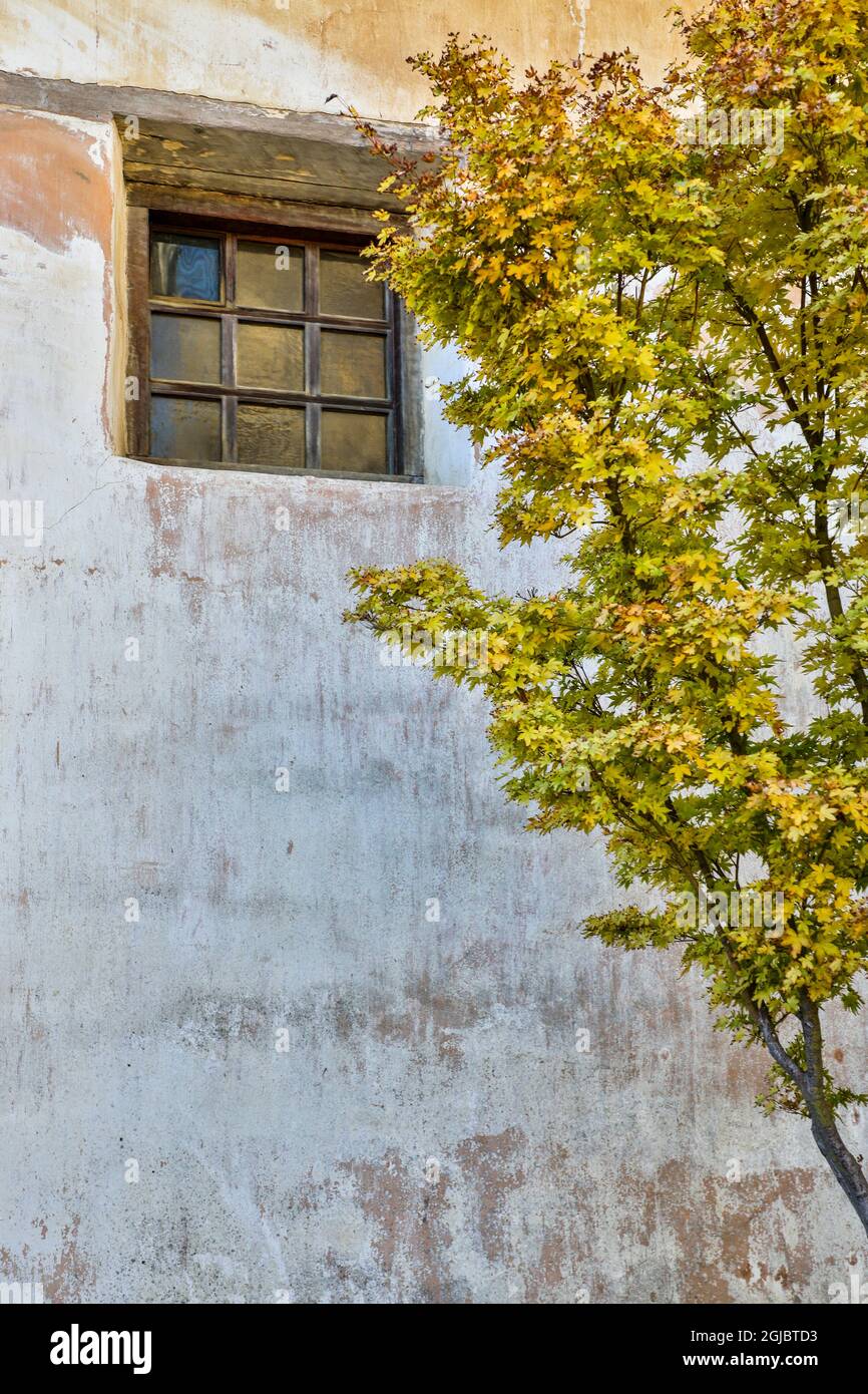 United States, California, Carmel, Basilica of San Carlos Borromeo del ...