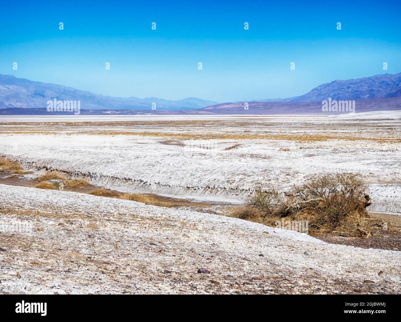 Flat park hi-res stock photography and images - Alamy