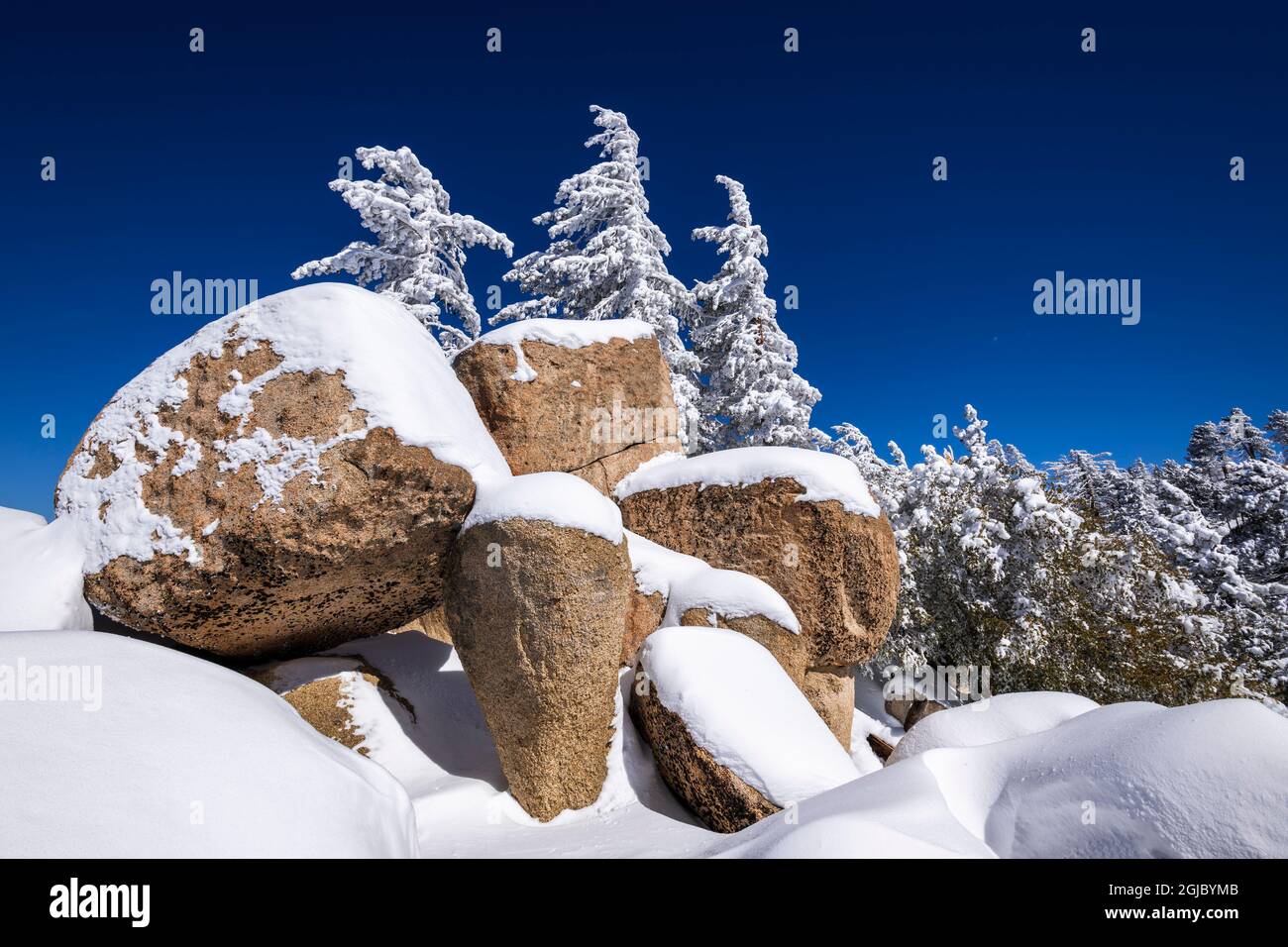 Snow covered pines and boulders in the San Bernardino Mountains. San ...
