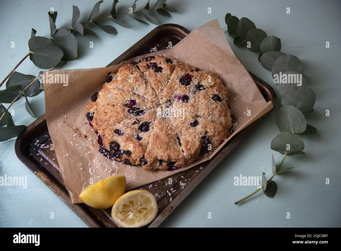 Lemon scones with cocos and blueberry Foto: Jessica Gow / TT / kod ...