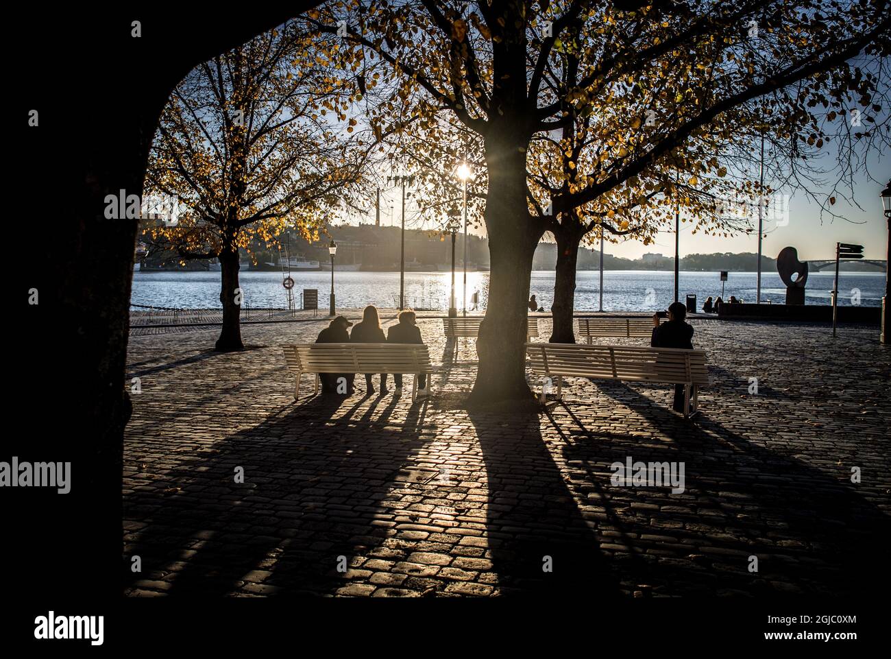 trees sun backlight, park, bench people sitting resting, water, lake ...