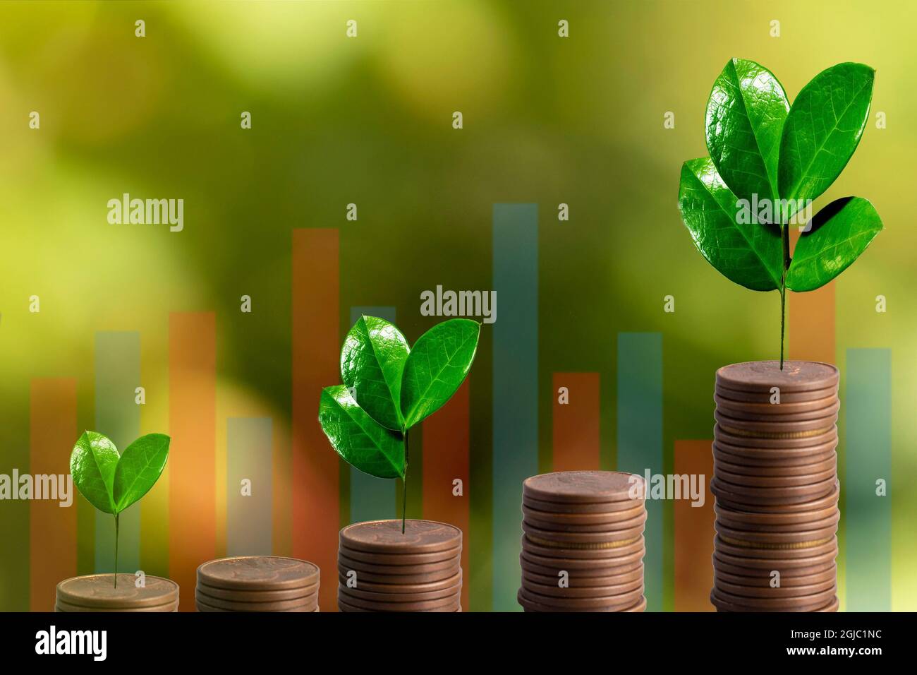 Financial developments business growth with growing tree on stack coin ...