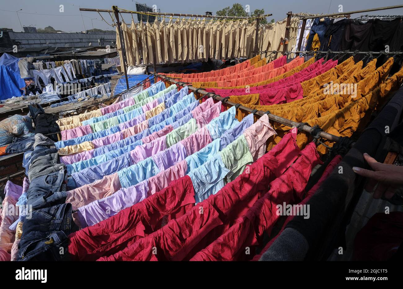 out door laundry street in central Mumbai India Foto: Soren Andersson ...