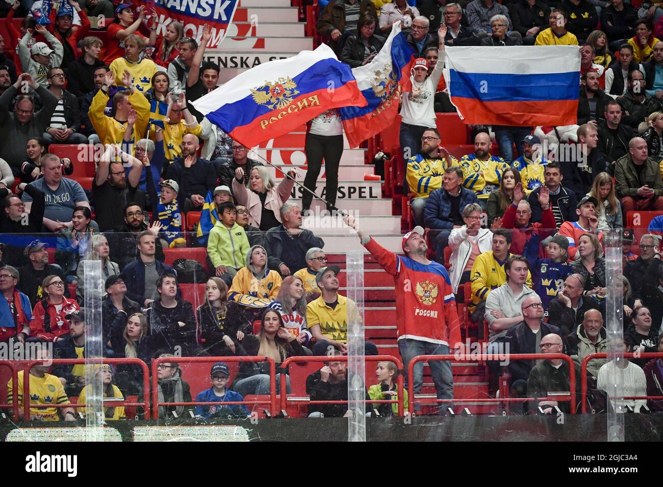 Hockey Fans In Stands