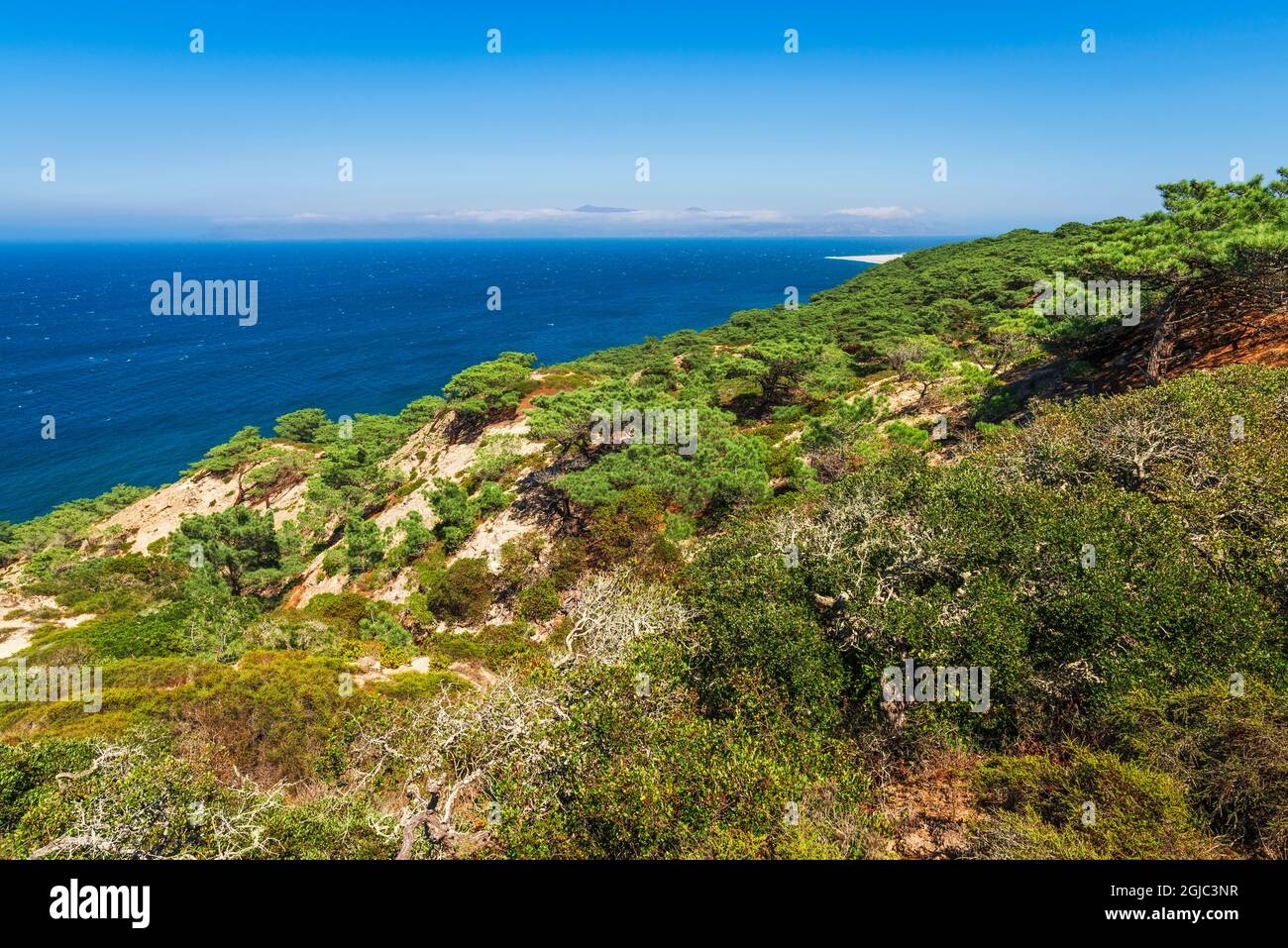 Skunk Point from the Torrey Pines Trail, Santa Rosa Island, Channel ...