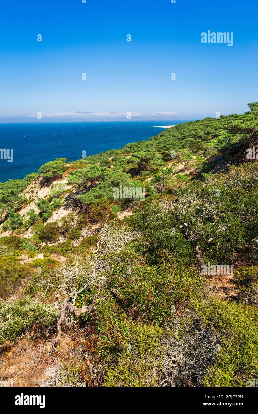 Skunk Point from the Torrey Pines Trail, Santa Rosa Island, Channel ...
