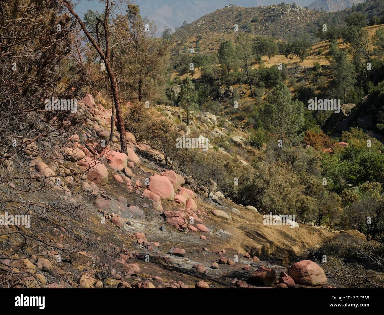 Effects of wildfire in Southern Sierra Nevada Mountains, from drought ...