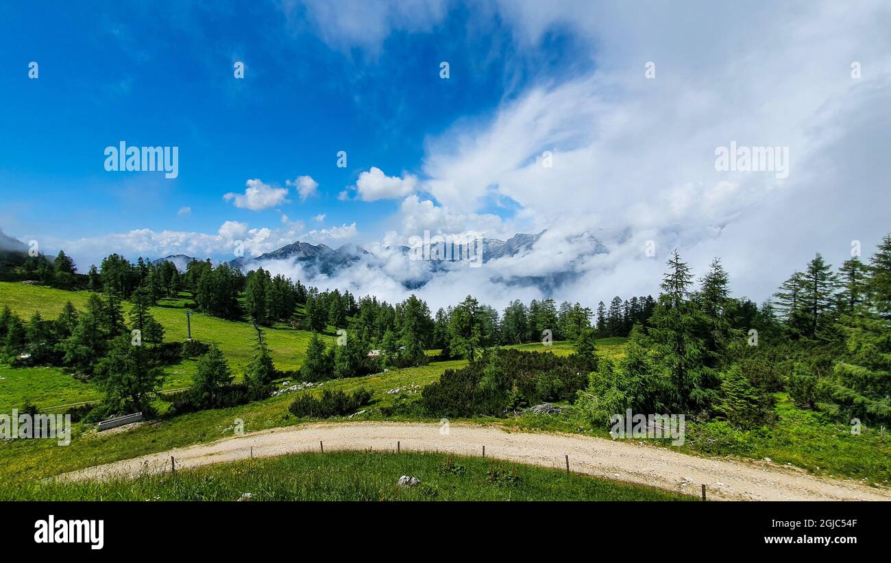 Landscape of a road through a beautiful forest Stock Photo - Alamy