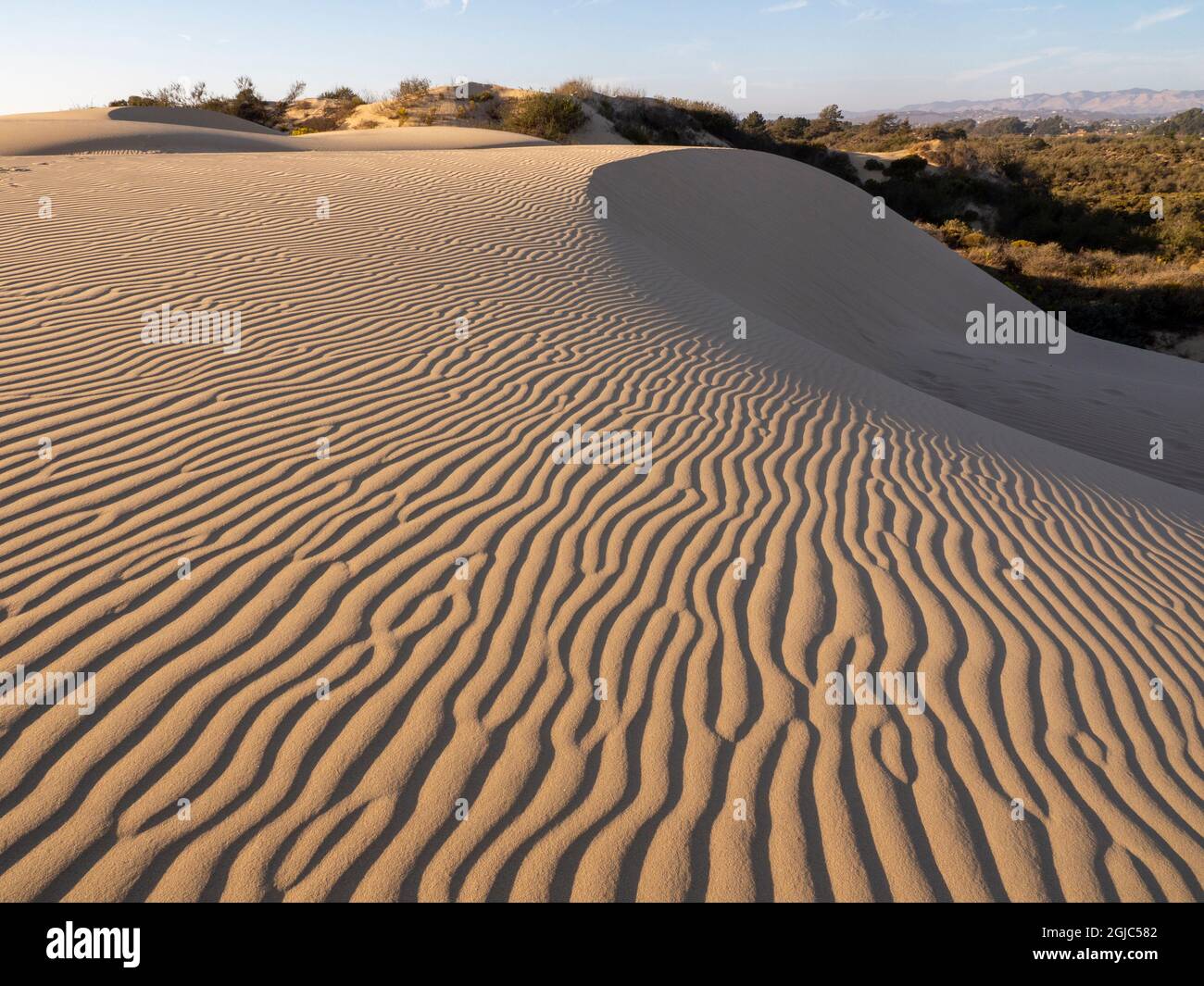 The sand dunes of Pismo Beach, California, town of Pismo Beach in ...