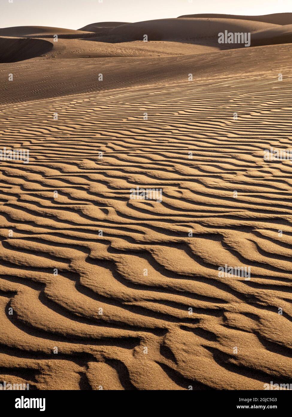 Rippled sand at beach ripple hi-res stock photography and images - Alamy