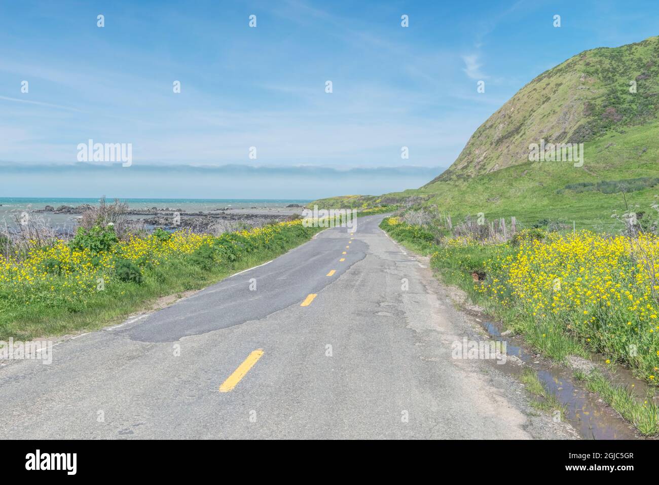 Lost coast scenic road hi-res stock photography and images - Alamy