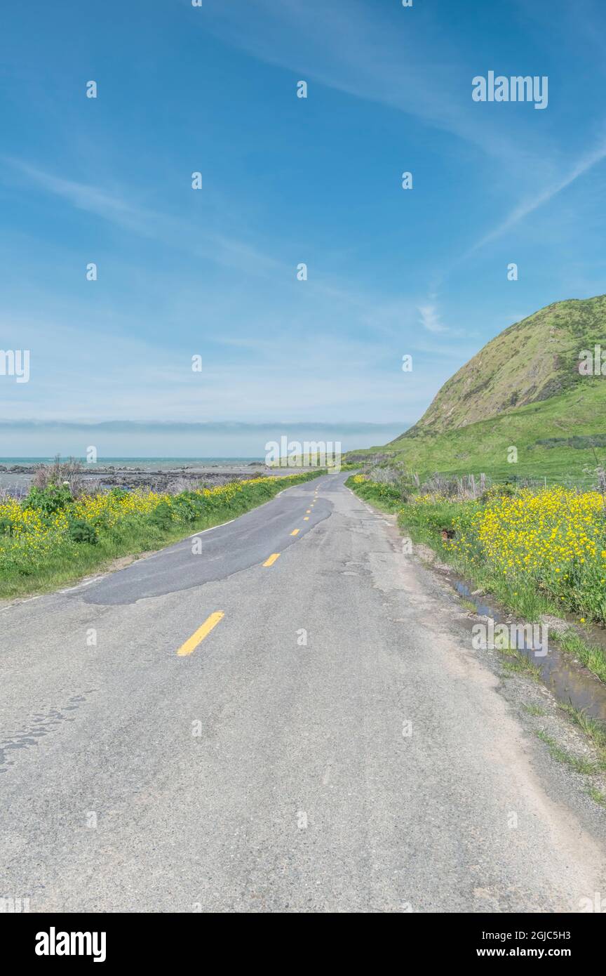 California, Humboldt County, Mattole Road on the Lost Coast Stock Photo ...