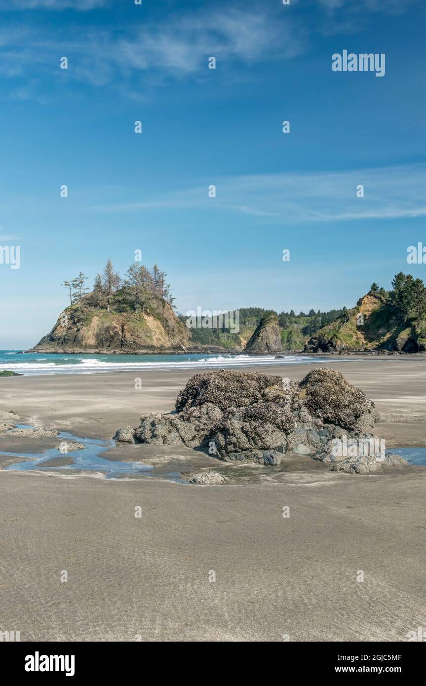 California, Trinidad Beach State Park, Trinidad Beach Stock Photo - Alamy
