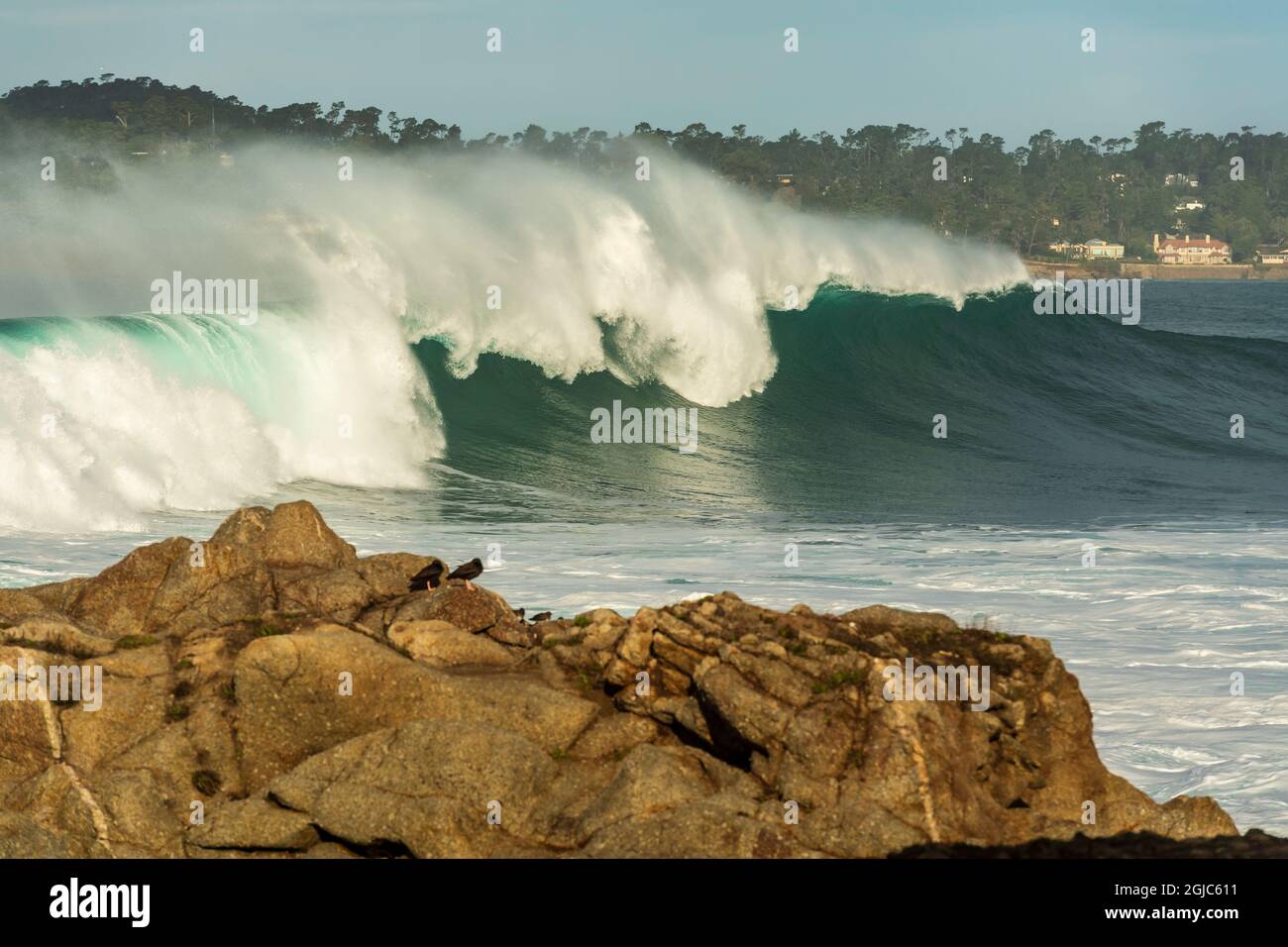 Huge winter waves crashing in Carmel Bay with Pebble Beach in the ...