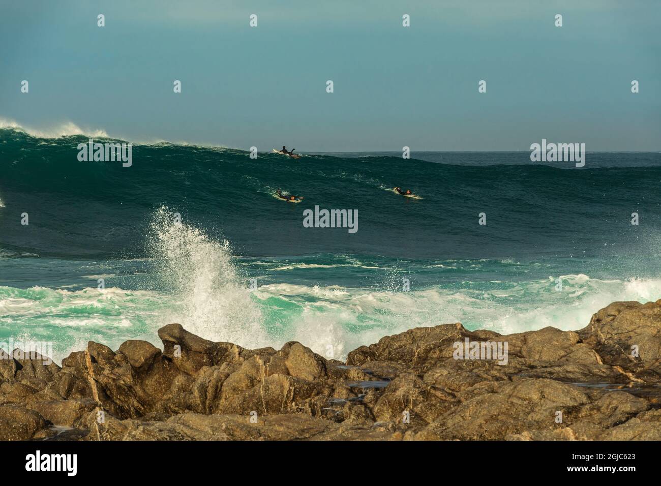 Surfers riding a large winter wave in Carmel Bay, on the Monterey ...
