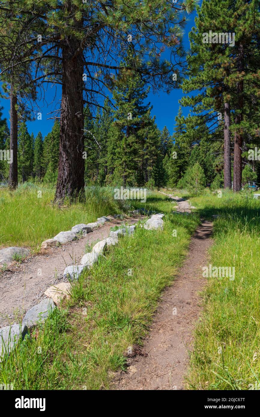 2 paths, one rock lined, of the Rainbow Trail, heading to Fallen Leaf ...