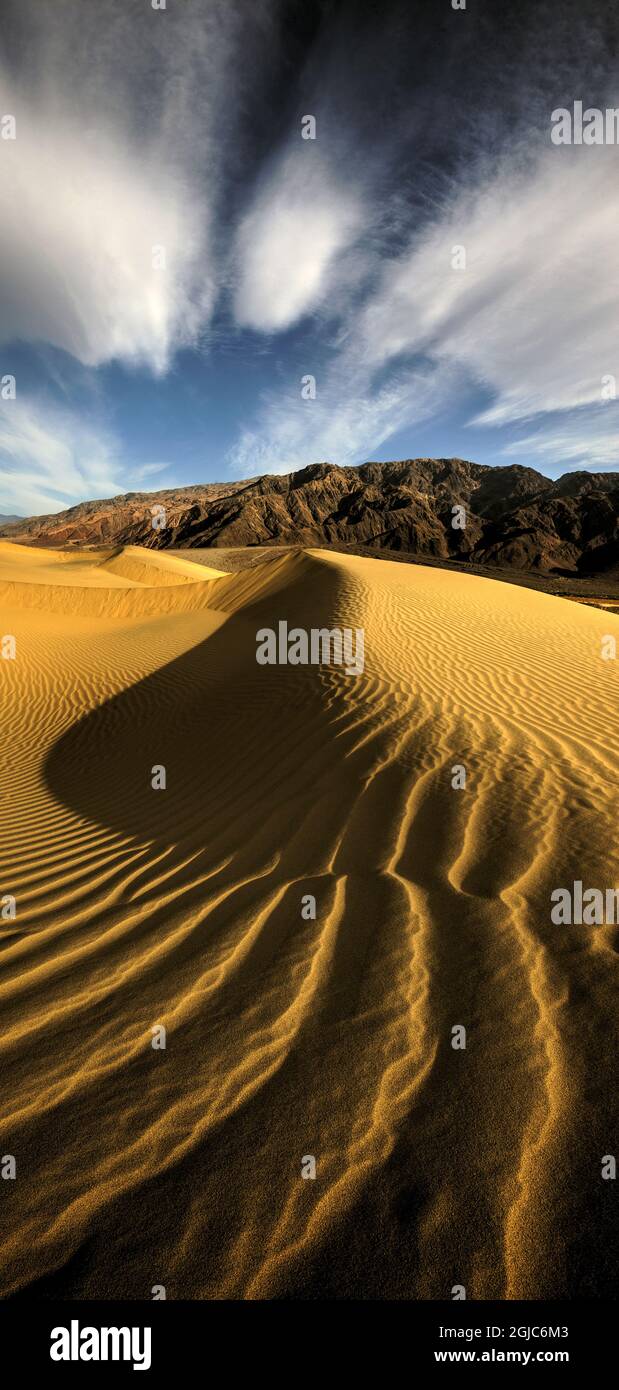 Gold dunes hi-res stock photography and images - Alamy