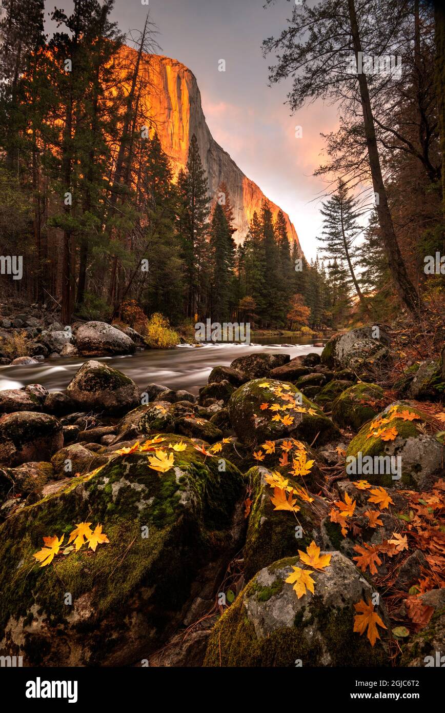 Fall along Merced River in Yosemite National Park, California Stock ...