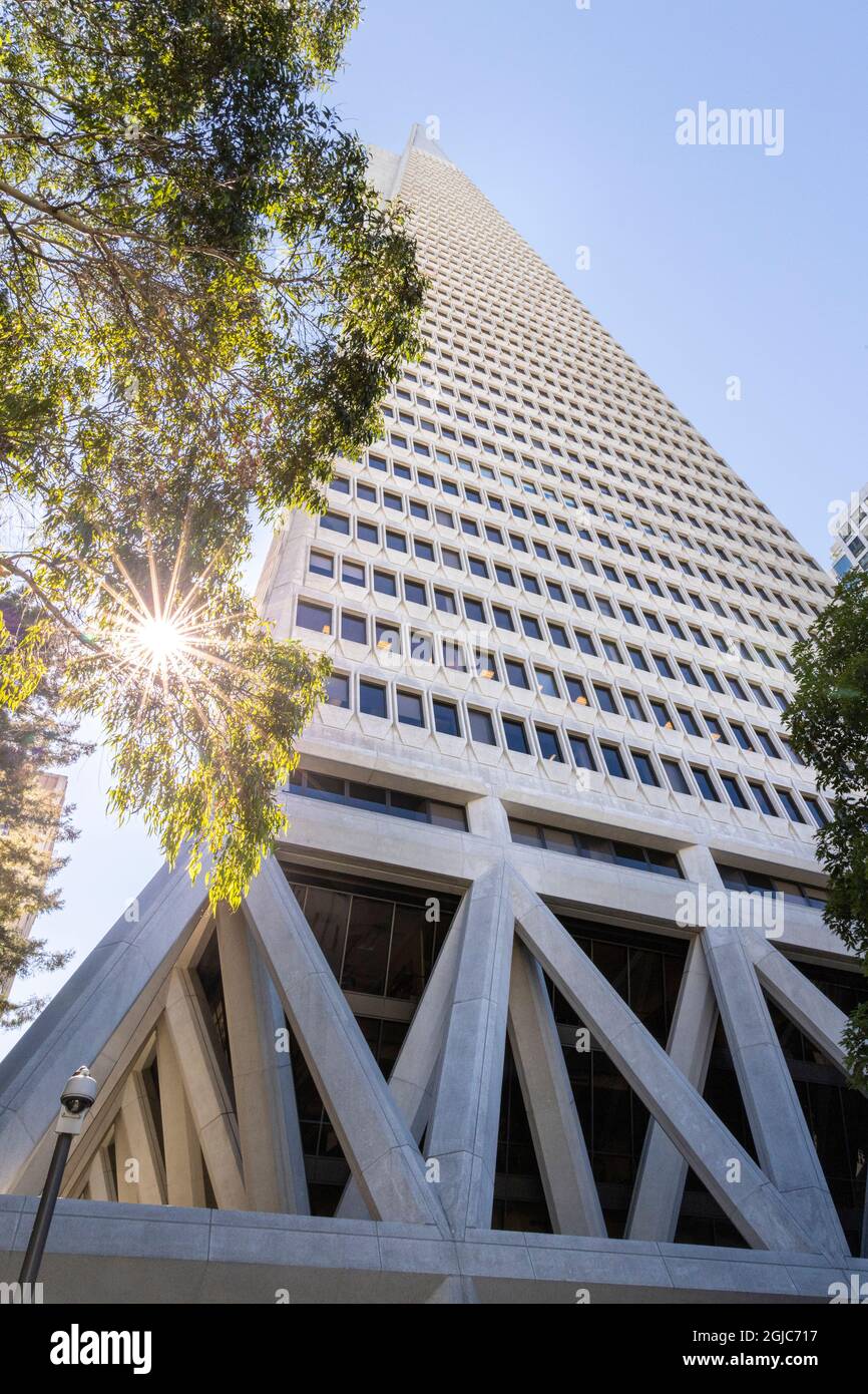 Sunstar at Transamerica Pyramid Building. San Francisco Stock Photo - Alamy