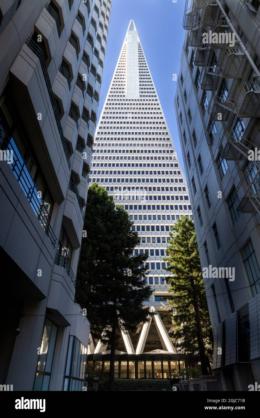 Transamerica Pyramid Building. San Francisco Stock Photo - Alamy