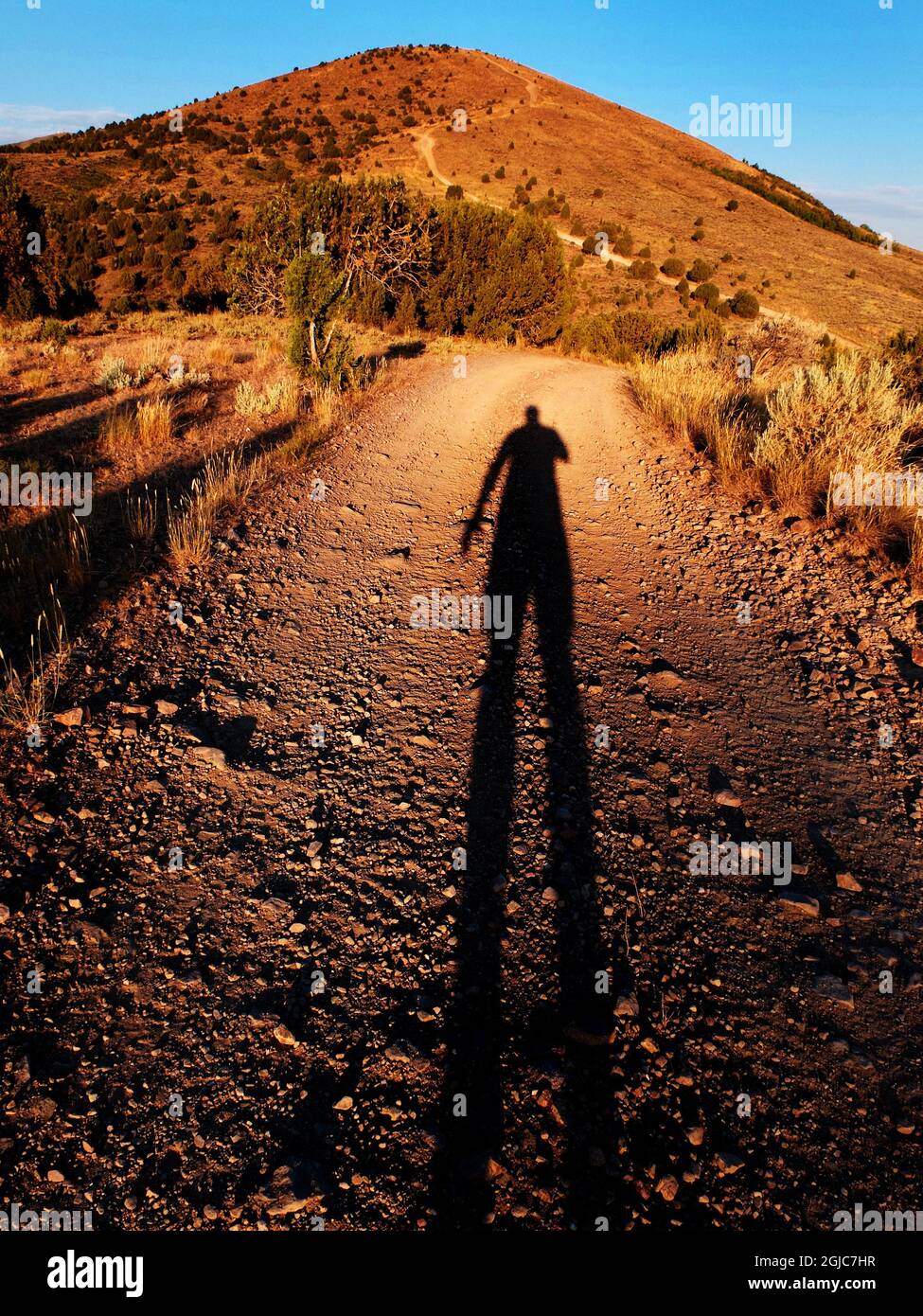 Long evening shadow of single man hiking up mountain on dirt road Stock ...