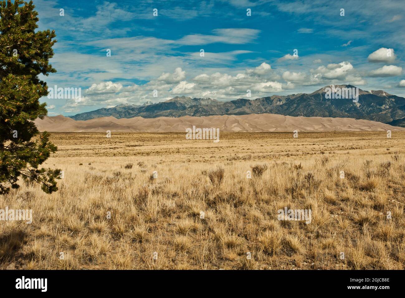 USA, Colorado, Alamosa. Great Sand Dunes National Park and Preserve ...