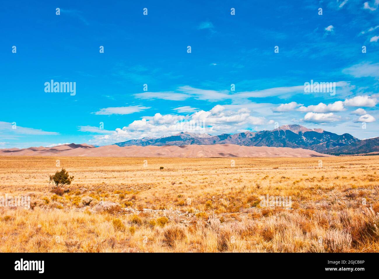 USA, Colorado, Alamosa. Great Sand Dunes National Park and Preserve ...