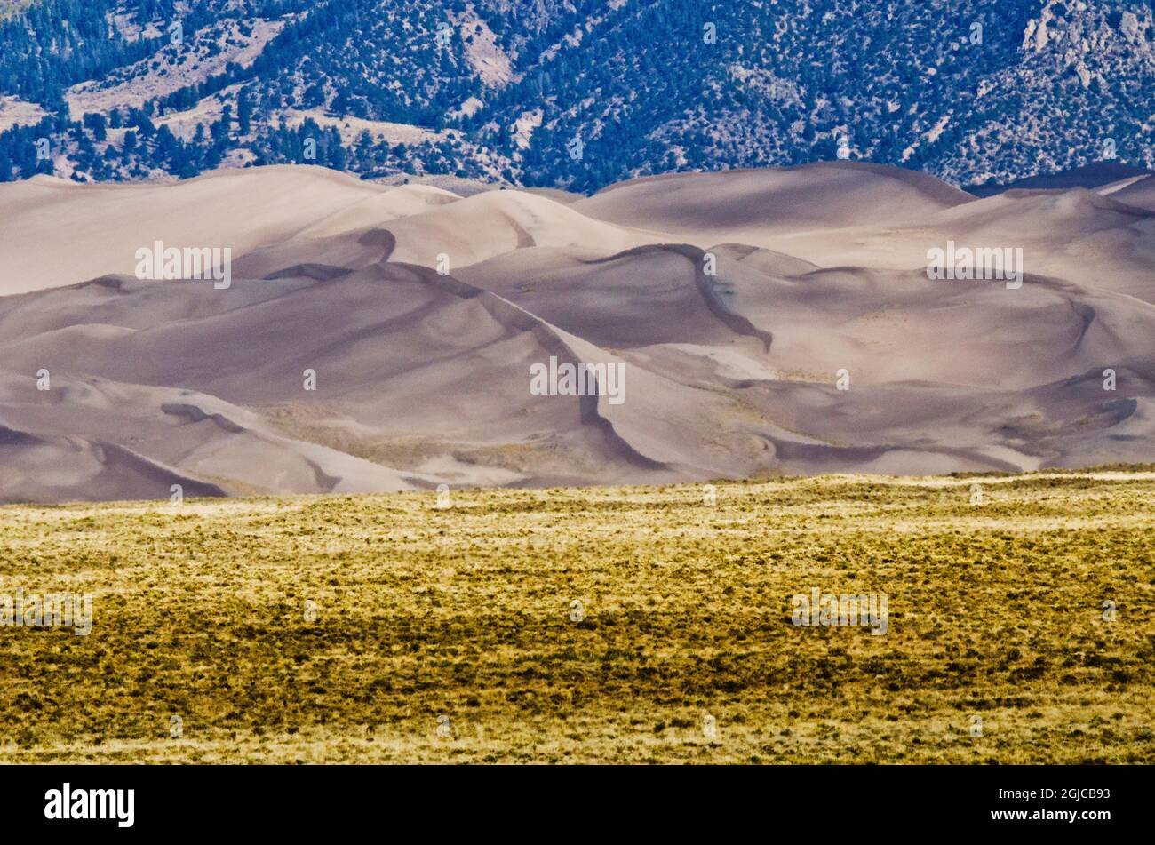 USA, Colorado, Alamosa. Great Sand Dunes National Park and Preserve ...