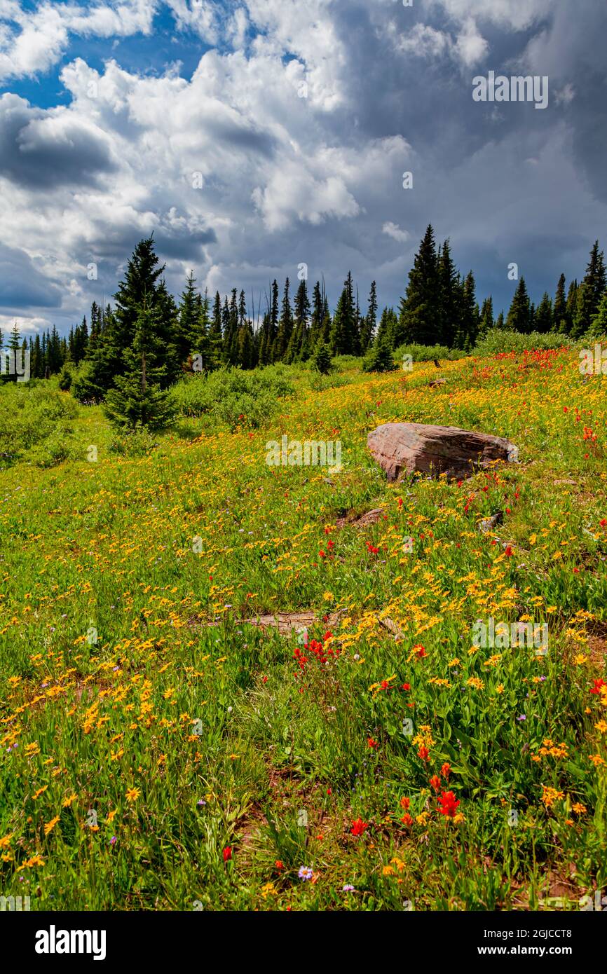 Gallery and shrine hi-res stock photography and images - Alamy
