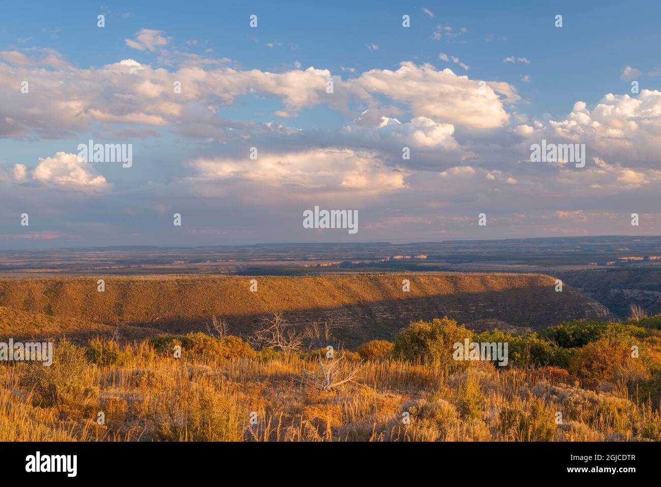 USA, Colorado, Mesa Verde National Park, Evening light warms arid mesa ...