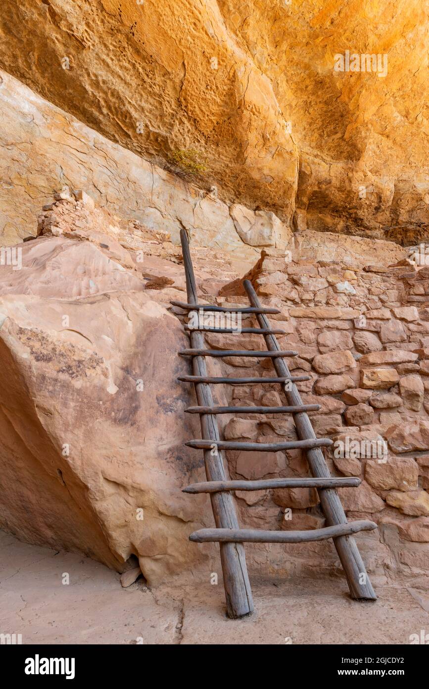 USA, Colorado, Mesa Verde National Park, Reconstructed ladder against ...