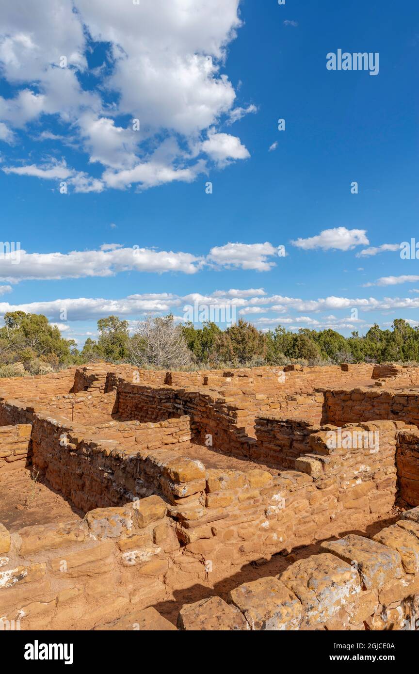 USA, Colorado, Mesa Verde National Park, Stonewall masonry dwelling at ...