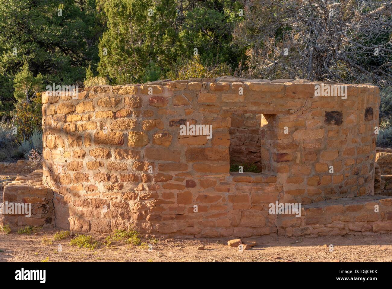 USA, Colorado, Mesa Verde National Park, Remains of Far View Tower, a ...