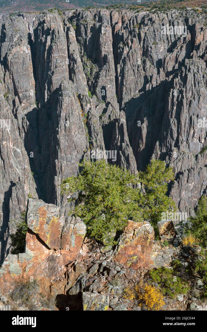 USA, Colorado, Black Canyon of the Gunnison National Park, Gunnison ...